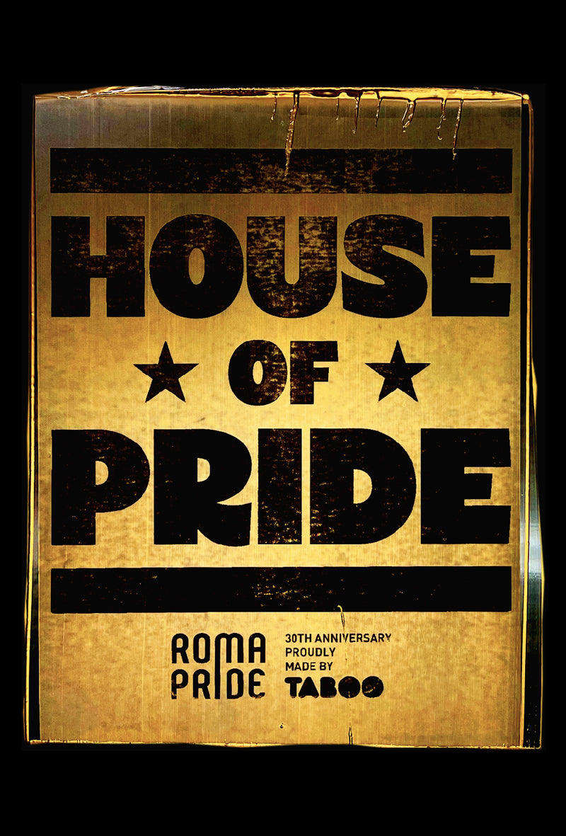 House of Pride Icon 3 T-shirt – TABOO